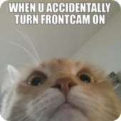 Myinstants Memes – Explore and Create The Best Memes!