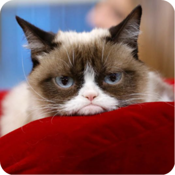 Myinstants Memes – Explore and Create The Best Memes!